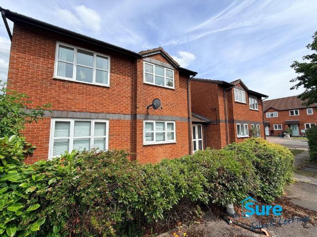 1 bedroom flat to rent