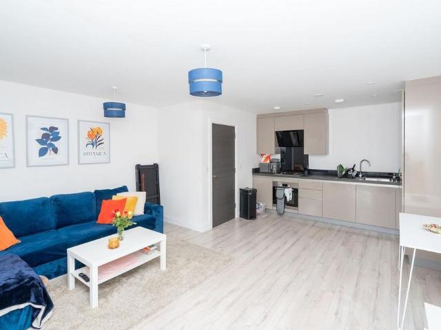 1 bedroom flat to rent