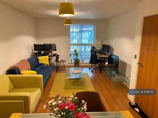 1 bedroom flat to rent