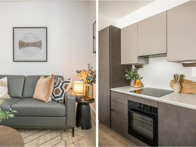 1 bedroom flat to rent