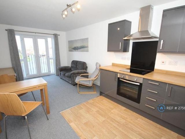 1 bedroom flat to rent