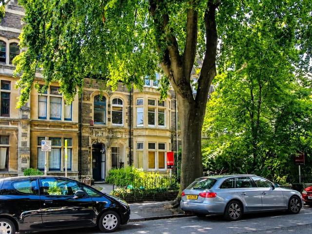 1 bedroom flat to rent