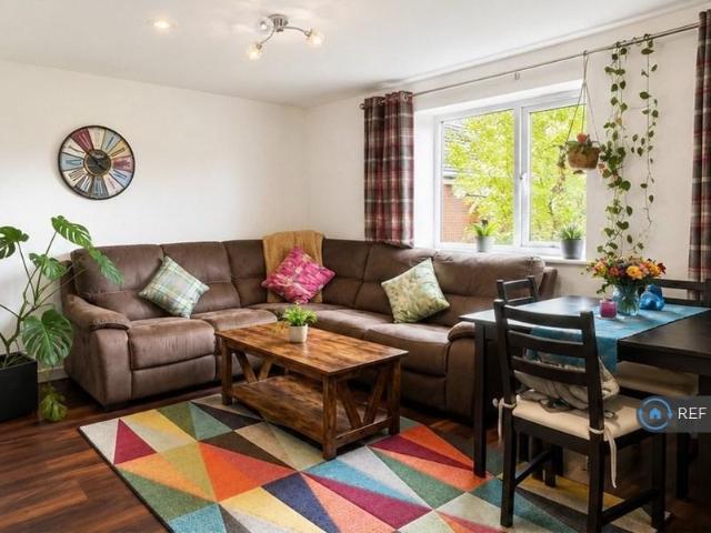 1 bedroom flat to rent
