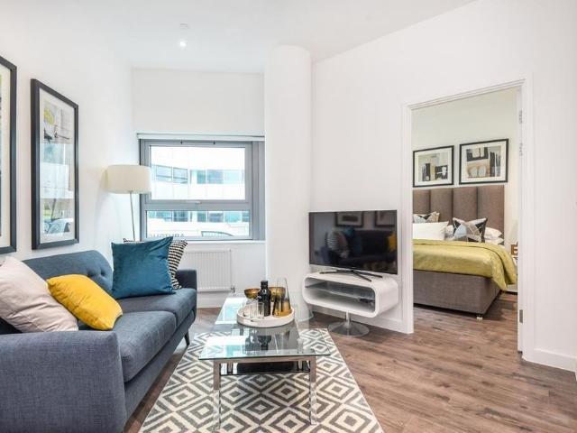 1 bedroom flat to rent