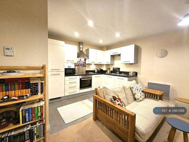 1 bedroom flat to rent