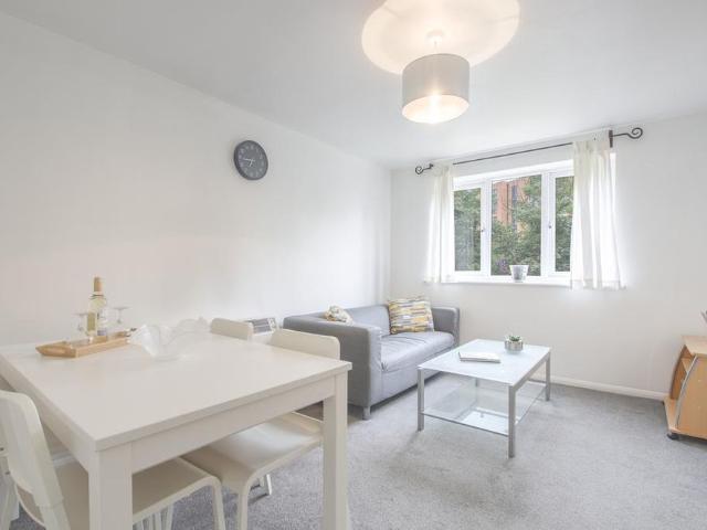 1 bedroom flat to rent