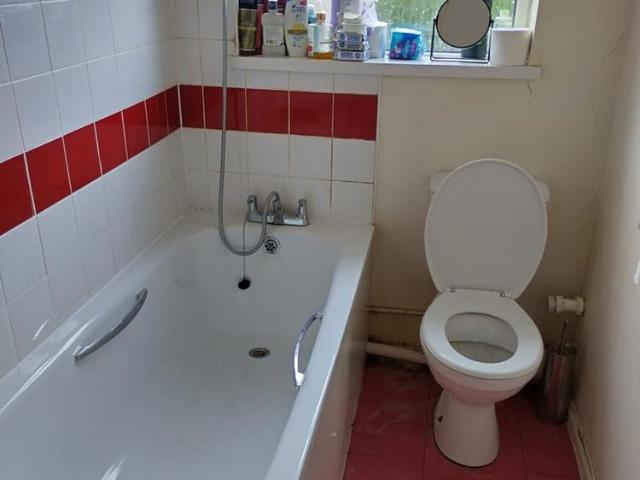 1 bedroom flat to rent