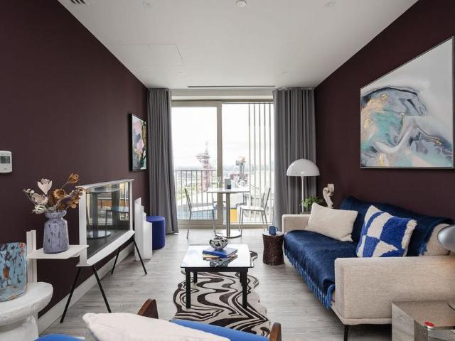 1 bedroom flat to rent