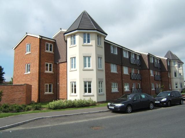 1 bedroom flat to rent