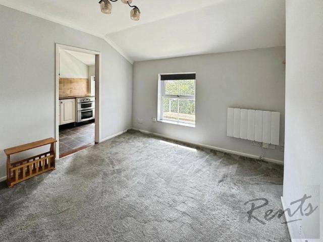 1 bedroom flat to rent