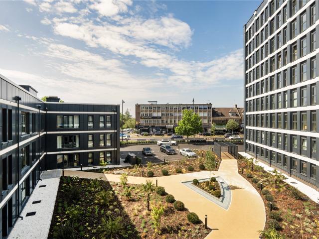 1 bedroom flat to rent