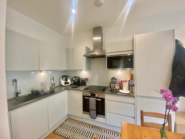 1 bedroom flat to rent