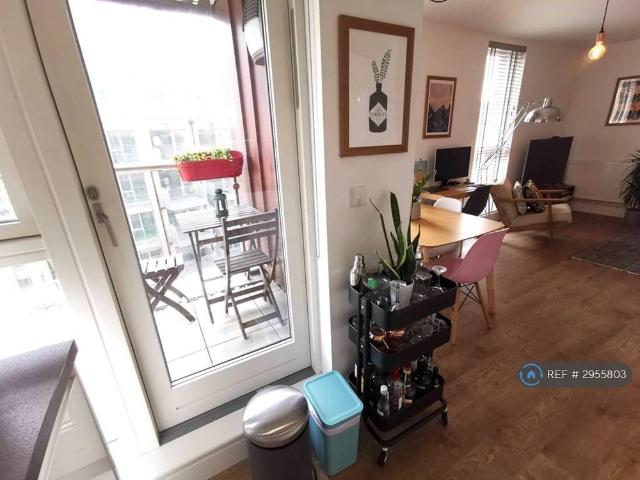 1 bedroom flat to rent