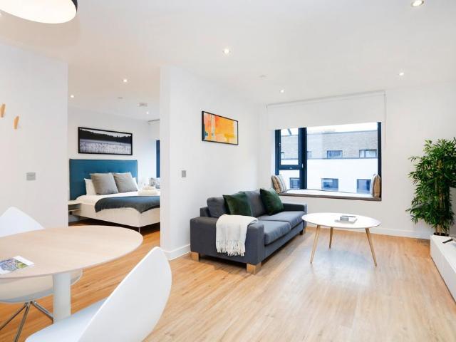 1 bedroom flat to rent