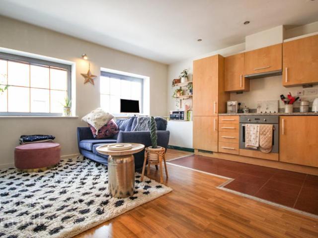1 bedroom flat to rent