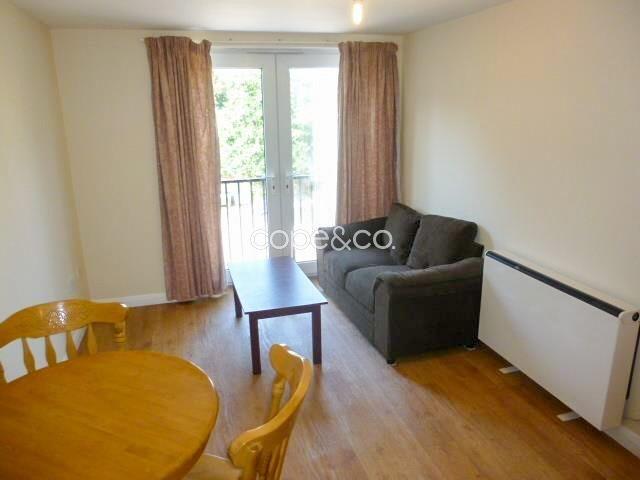 1 bedroom flat to rent