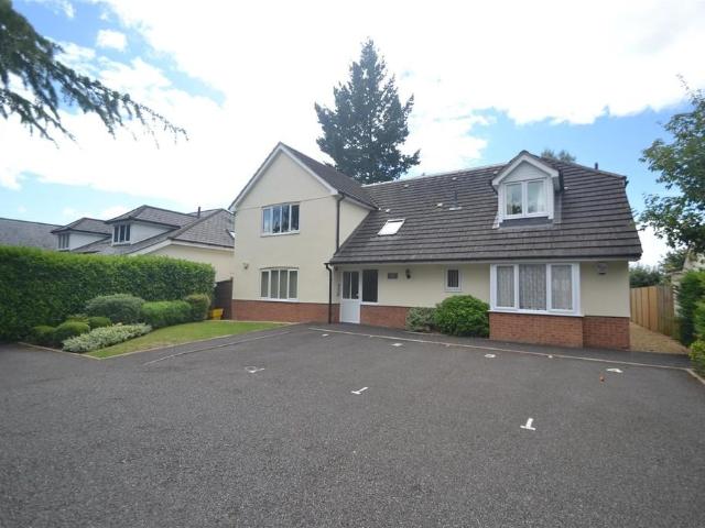 1 bedroom flat to rent