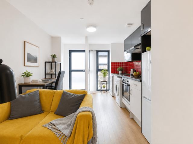 1 bedroom flat to rent