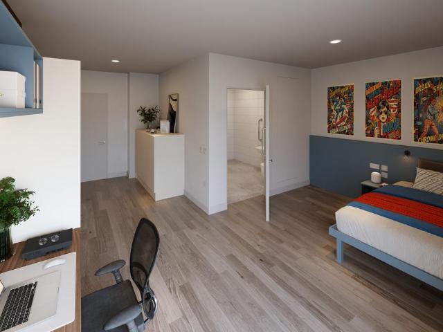 1 bedroom flat to rent