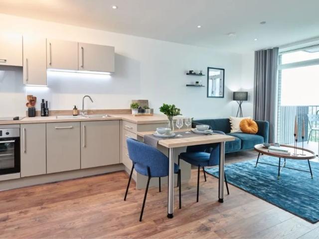 1 bedroom flat to rent