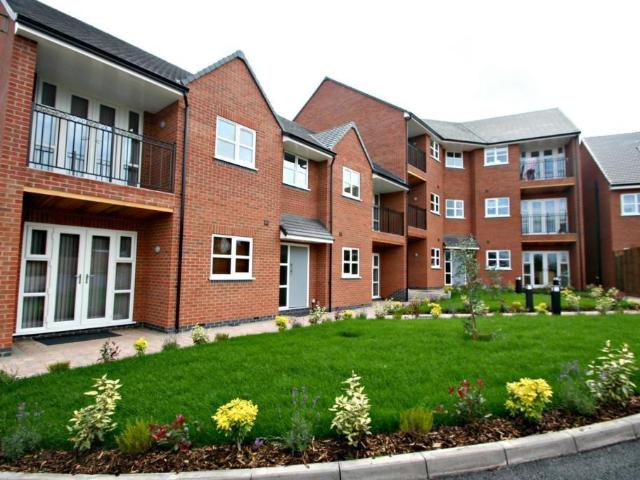 1 bedroom flat to rent