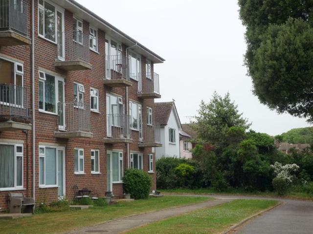 1 bedroom flat to rent