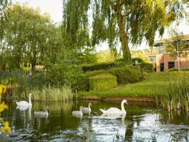 1 bedroom flat for sale in Caldecotte Lake Drive, Milton Keynes, Buckinghamshire, MK7