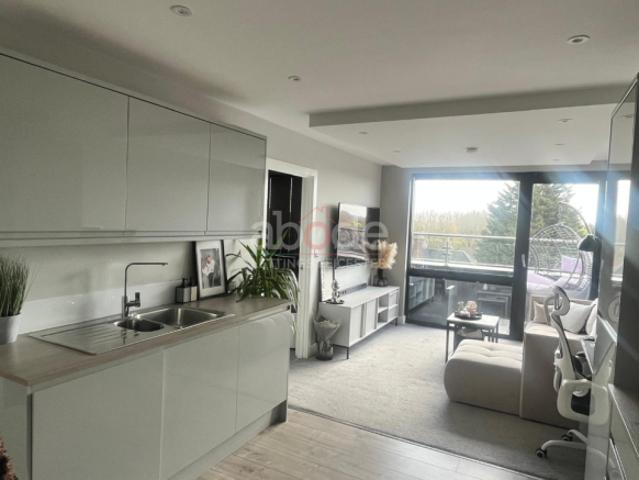 1 bedroom flat for rent in Anstey Lane, Leicester, Leicestershire, LE4