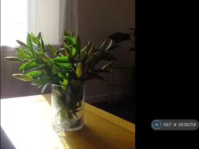 1 bedroom flat for rent in John Knox Court, Aberdeen, AB24