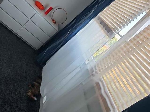 1 bedroom flat in London