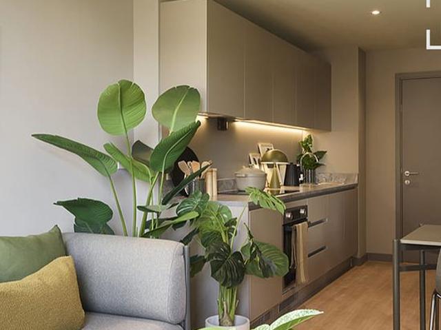 1 bedroom flat in Sheffield