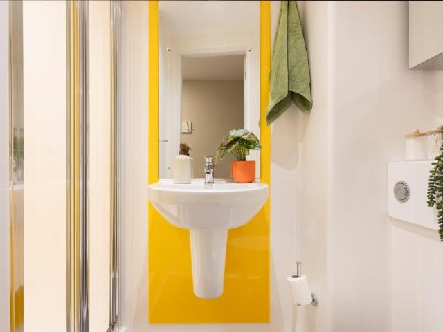 1 bedroom flat share to rent