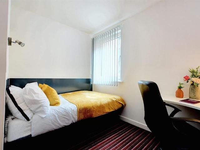 1 bedroom flat share to rent