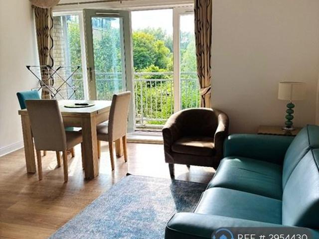 1 bedroom flat share to rent