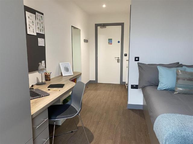1 bedroom flat share to rent