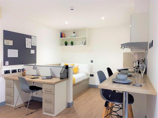1 bedroom flat share to rent
