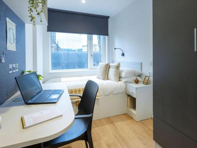 1 bedroom flat share to rent