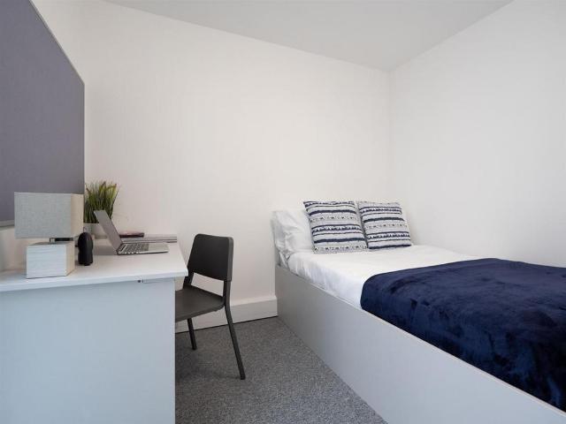1 bedroom flat share to rent