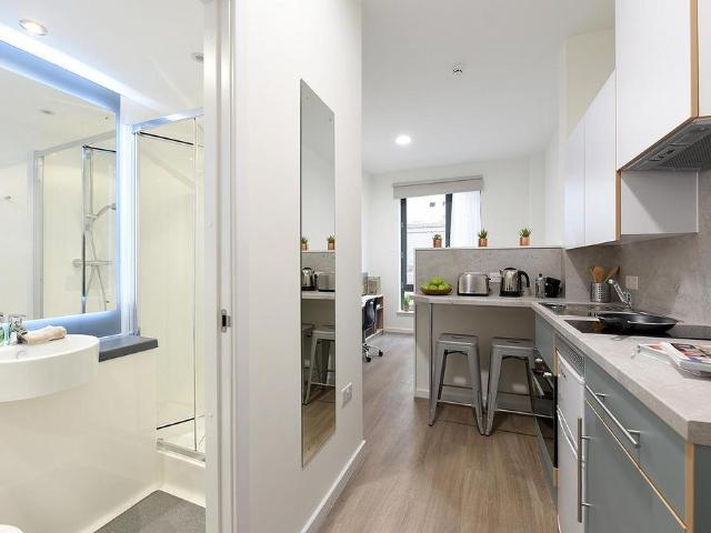 1 bedroom flat share to rent