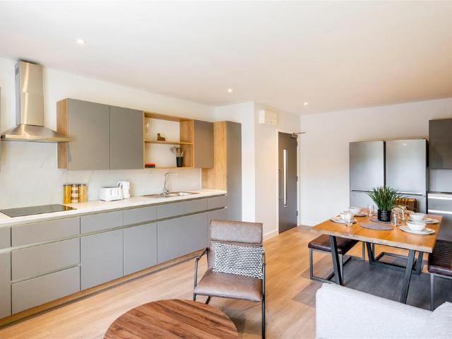 1 bedroom flat share to rent