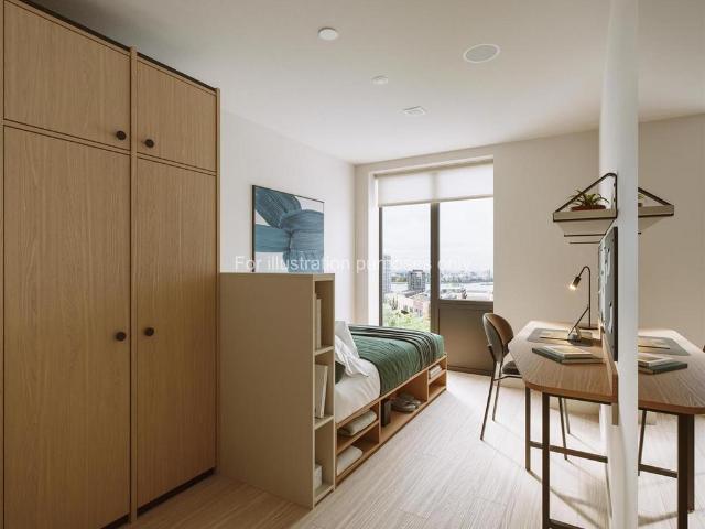1 bedroom flat share to rent