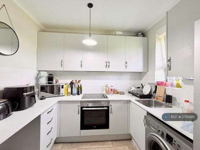 1 bedroom flat share to rent