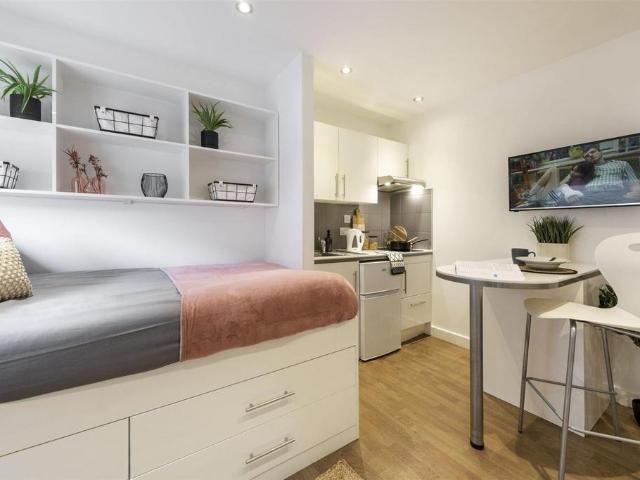 1 bedroom flat share to rent