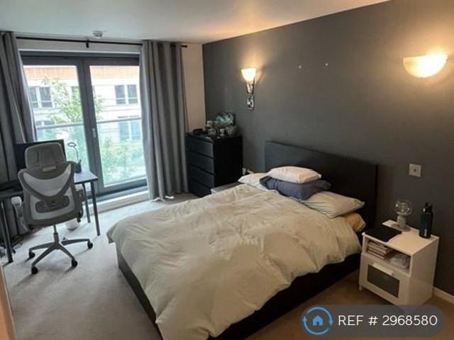 1 bedroom flat share to rent