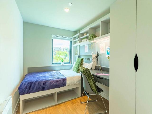1 bedroom flat share to rent