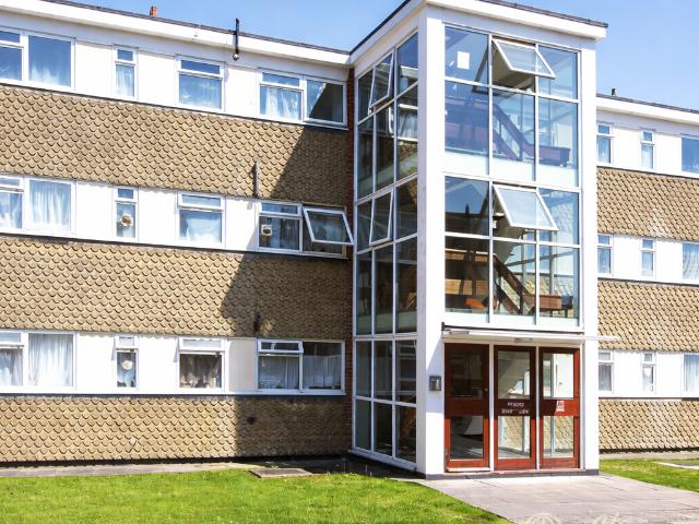 1 bedroom flat share to rent