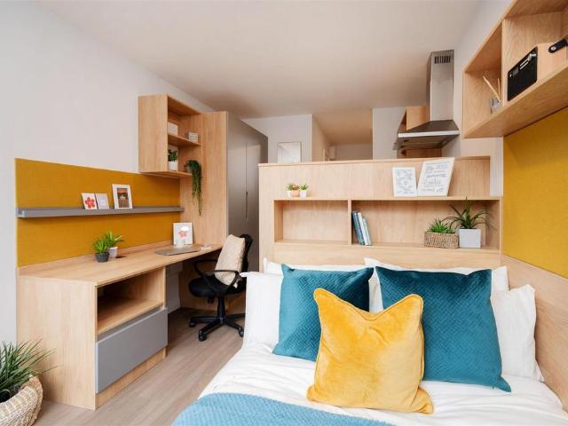 1 bedroom flat share to rent