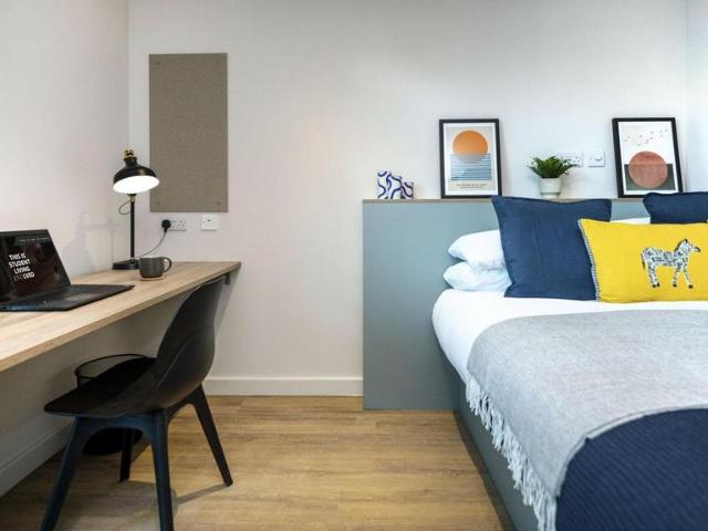 1 bedroom flat share to rent