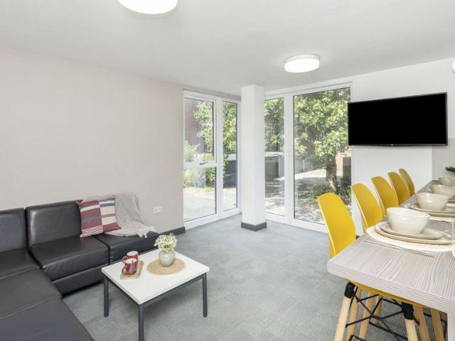 1 bedroom flat share to rent