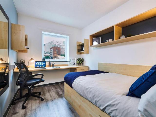 1 bedroom flat share to rent